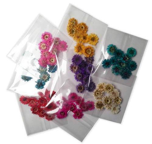 10 PCS 5-10mm Small Everlasting Dried Pressed Flowers | Art Junkie