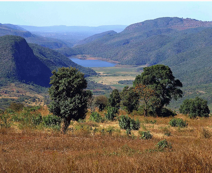 Tout savoir sur les diverses énergies renouvelables