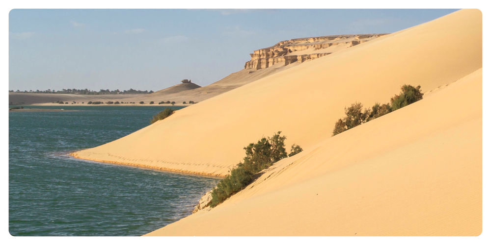 Fayum Oasis: The Perfect Daytrip from Cairo!