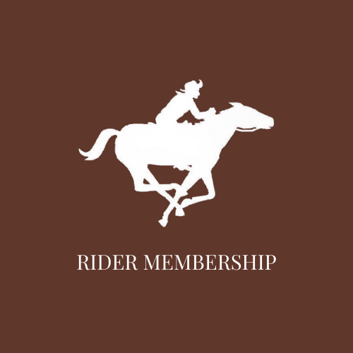 Rider | Pony Express