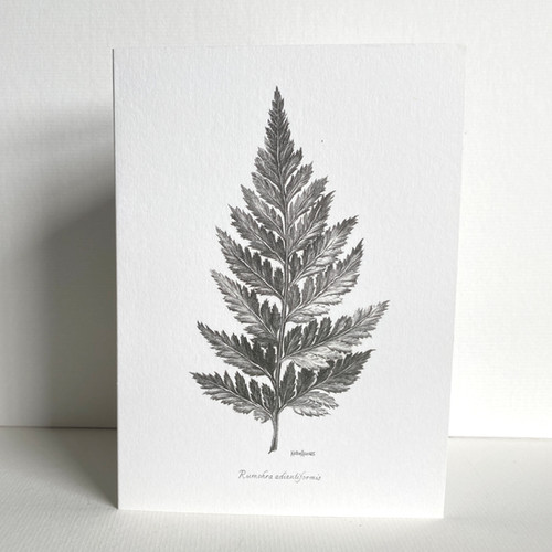 Fern Greeting Card | Pencil Drawing | UK Artist