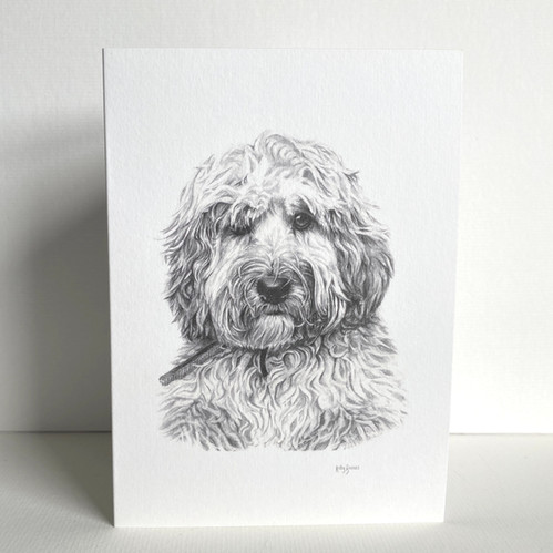 Cockapoo Greeting Card | Dog Pencil Drawing | British Artist