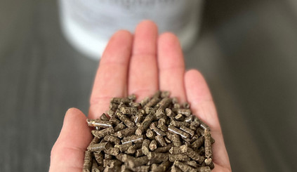 HighPro Pferdefutter | Der Proteinbooster für Dein Pferd!