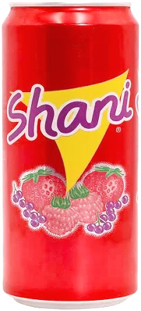 SHANI DRINK 24/300 ML CANS | Choice Foods