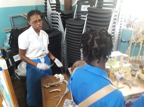 Pictures | St. Catherine High
