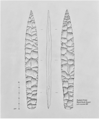 Lithic Illustration/Art Print/Haskett Point | Occpaleo