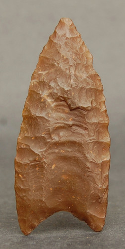 Redstone Clovis Cast | Occpaleo