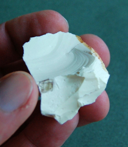 Paleolithic Microblade Core Cast | Occpaleo