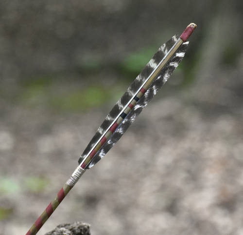 Choctaw Arrow Replica | Occpaleo