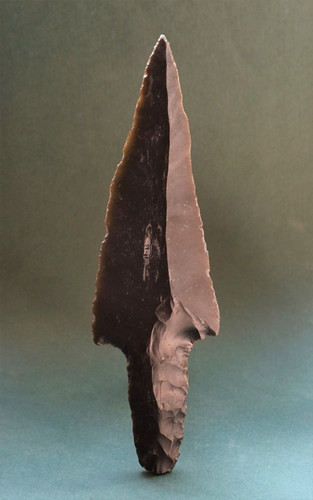 Mayan Stemmed/Tanged Point Cast | Occpaleo