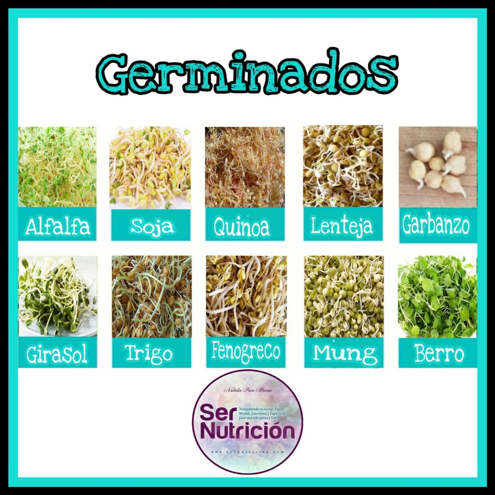 GERMINADOS: Un Potencial Nutricional para nuestra salud