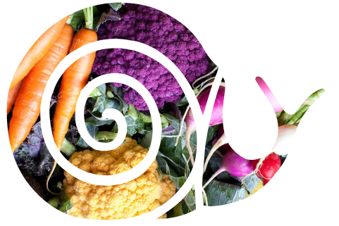 HOME | Slow Food Denver | Local Food