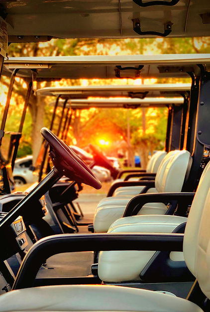 Golf | Plantation Palms