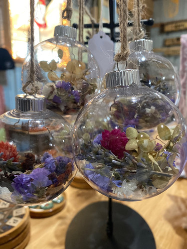 Dried Flower Bulb | The Rusty Moose Gard