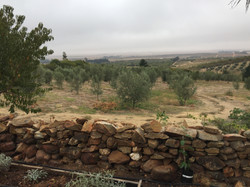 Home | kleinklooffarm