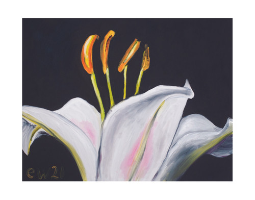 White Lily 14" x 11" Print | Whimsy&WonderArt