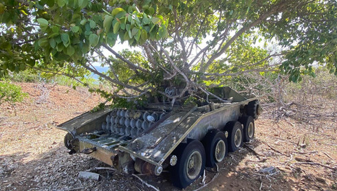 Home | Gammy's Water Tours - Water Taxi to Culebrita
