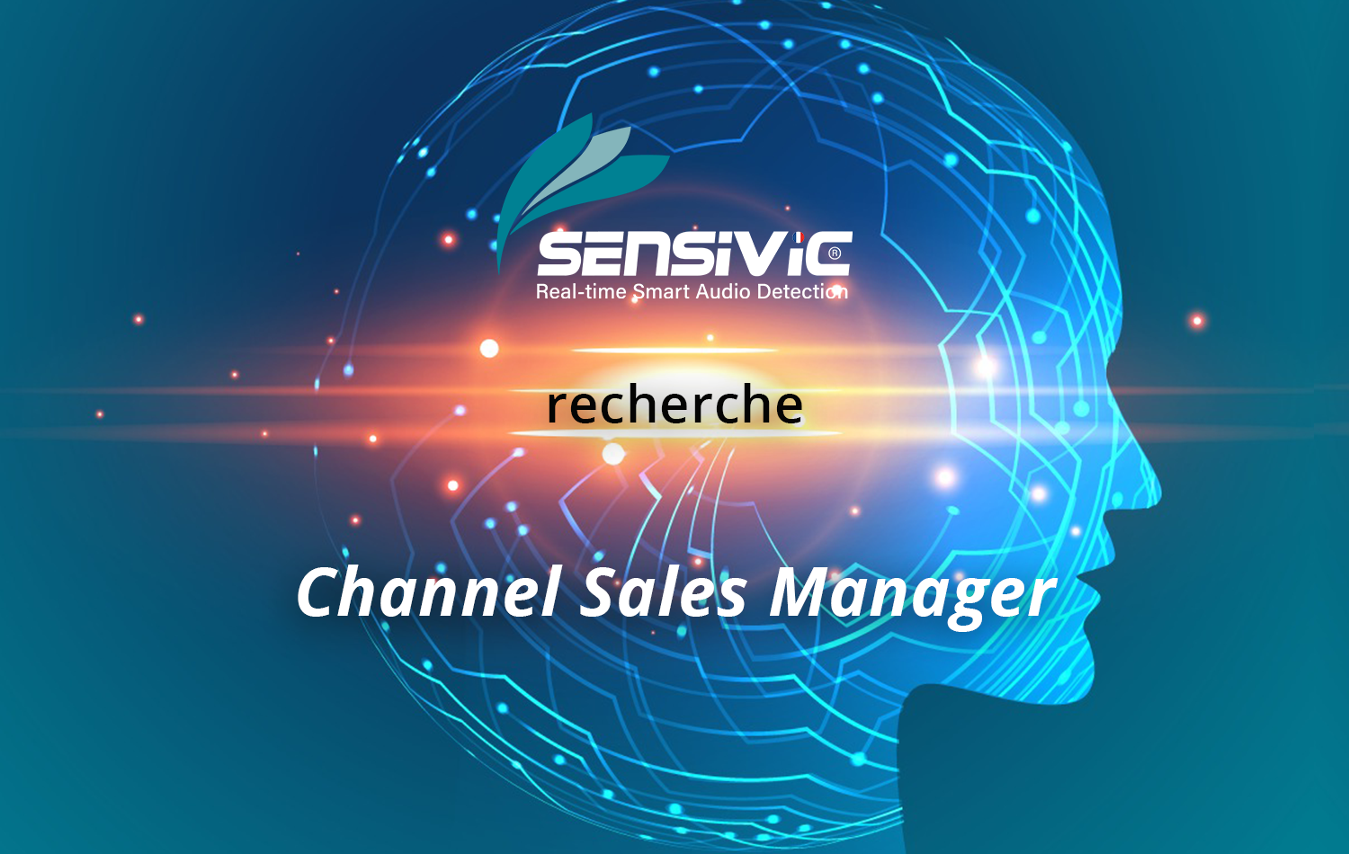 Hiring | Channel Sales Manager | Sensivic