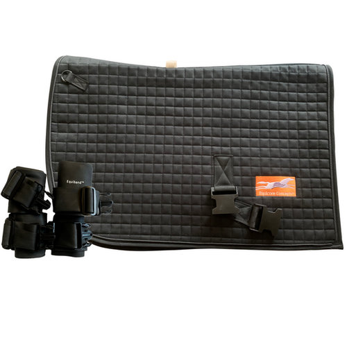 Complete Equiband® System – Western | Equine Physio NZ