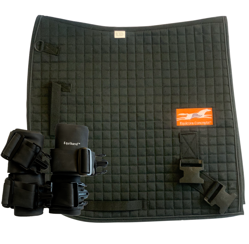 Complete Equiband® System | Equine Physio NZ