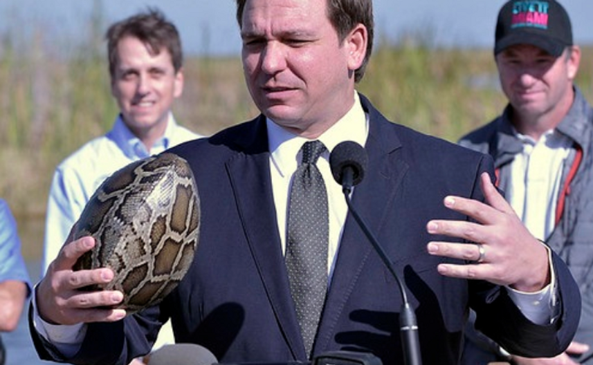 Florida Python Challenge 2024