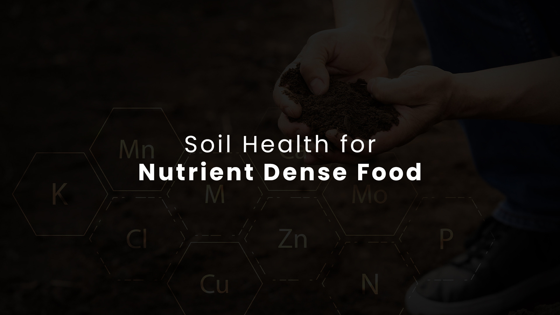 Soil Health for Nutrient Dense Food