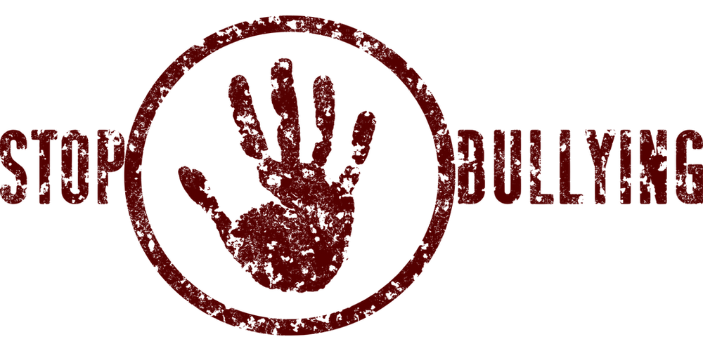 Bullying: The Cycle of the Bullied and the Bully