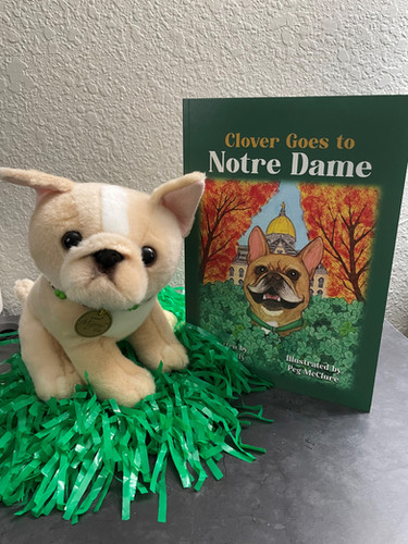(Paperback Book & Plush Dog bundle) -- Clover Goes to Notre Dame | Mysite