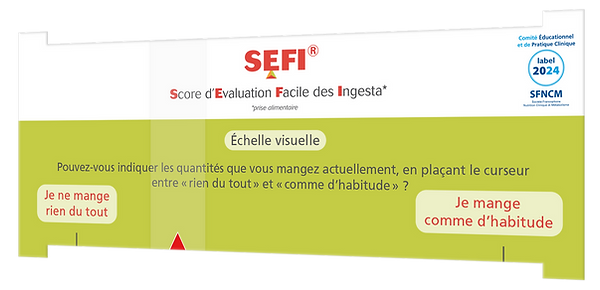 SEFI : Score d’Evaluation Facile des Ingesta