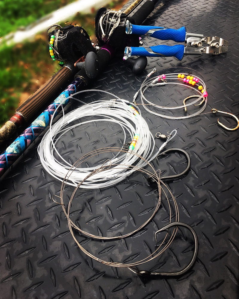 How do you build your shark leaders