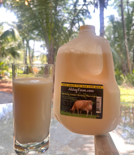 Alday gallon raw whole milk | Jupiter Creamery