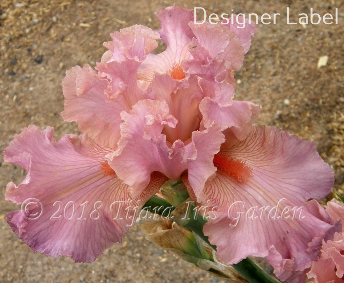 Designer label designer-label
