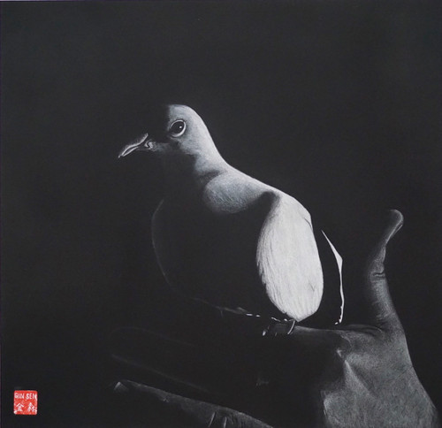 Dove Magic | Gin Sen