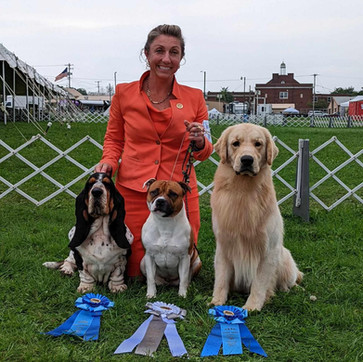 K-9 Entry Service, AKC Dog Show Entries, | Online Dog Show Entries