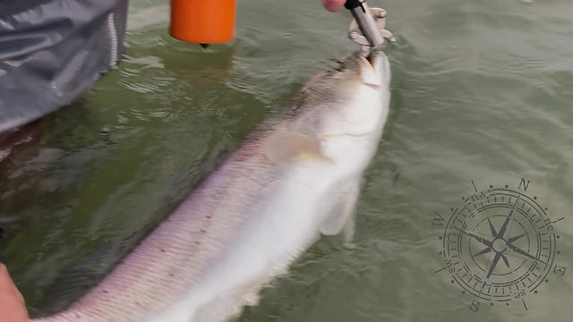 CAPT CALEB TV | captcaleb