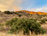 Home | Bisbee Foundation