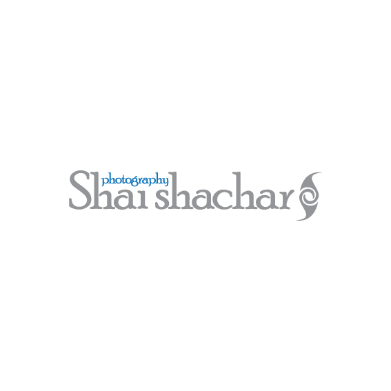 Logo | Shiri Graphic Design