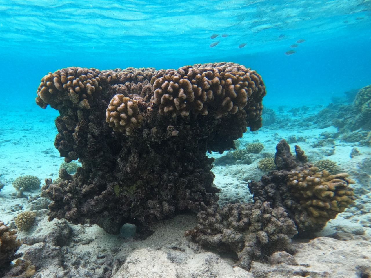 Tuamotus: Sunsets, Bommies and a close shave