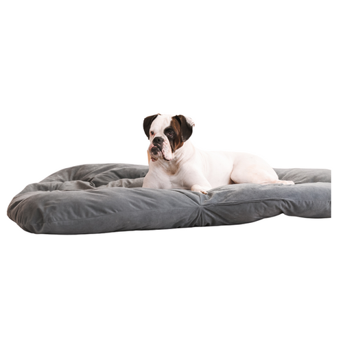 Beethoven Perro Suite - Grande | El Nido Mascotas