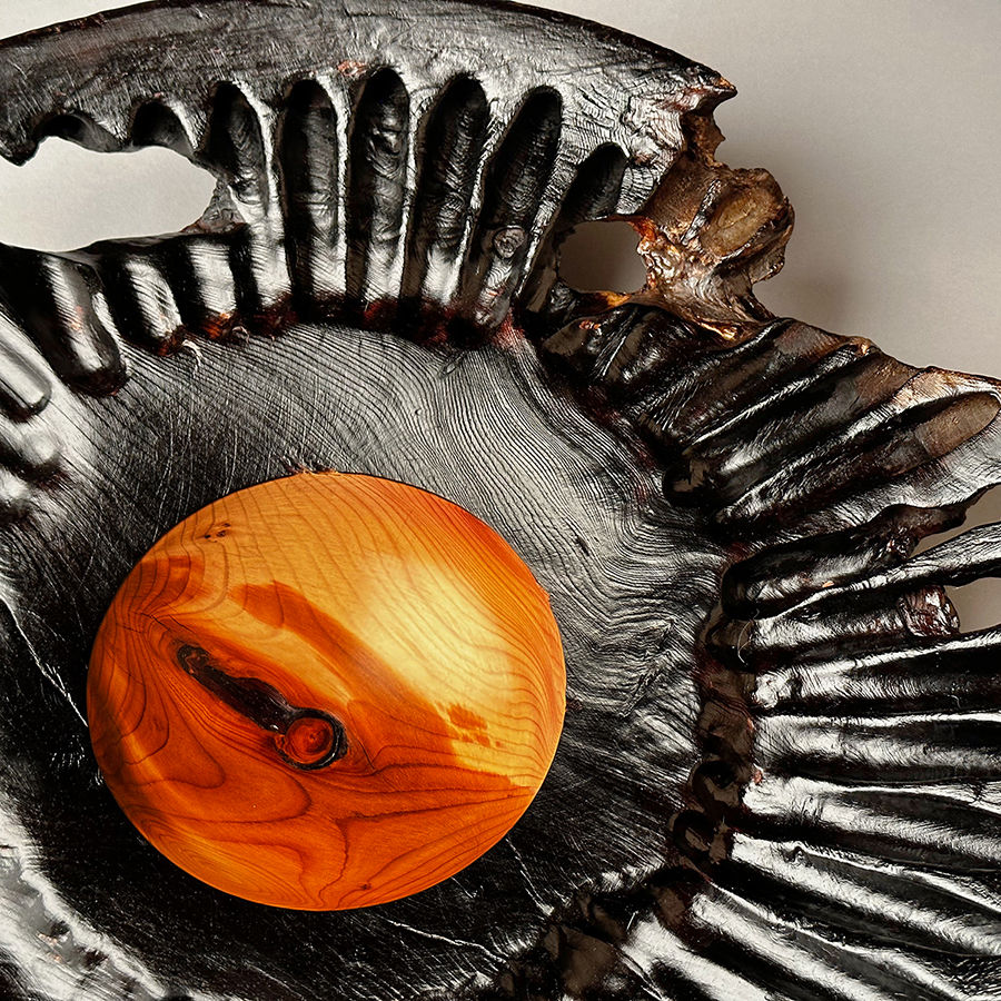 Angus Clyne | Wood Symphony Gallery