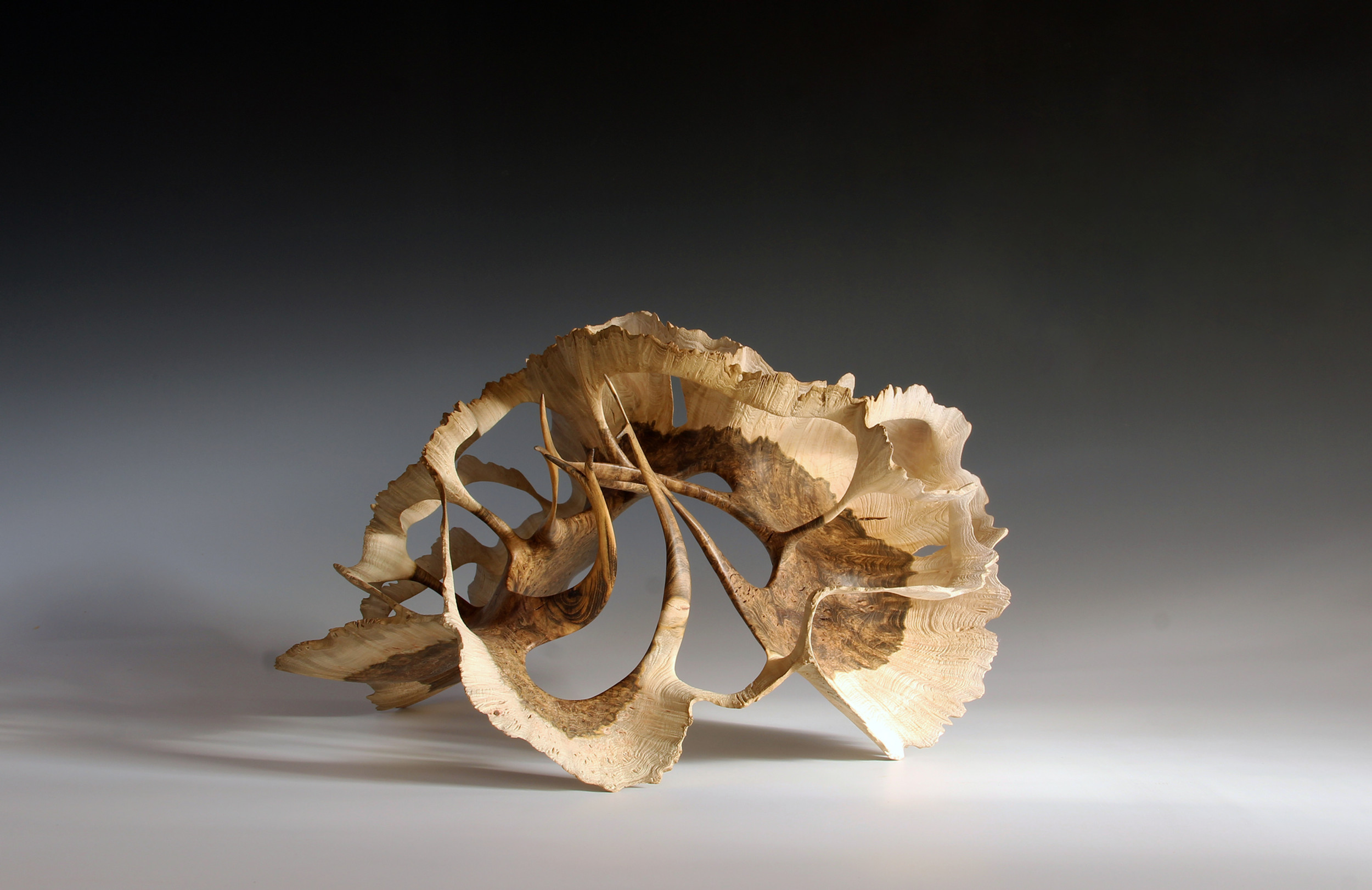 Turned and Sculpted Wood 2026 | WOOD SYMPHONY GALLERY