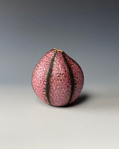 Reef Dweller | WOODSYMPHONY GALLERY