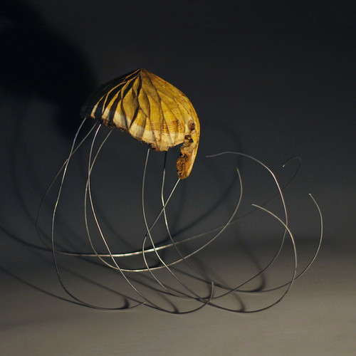 Hellyfish | WOODSYMPHONY GALLERY