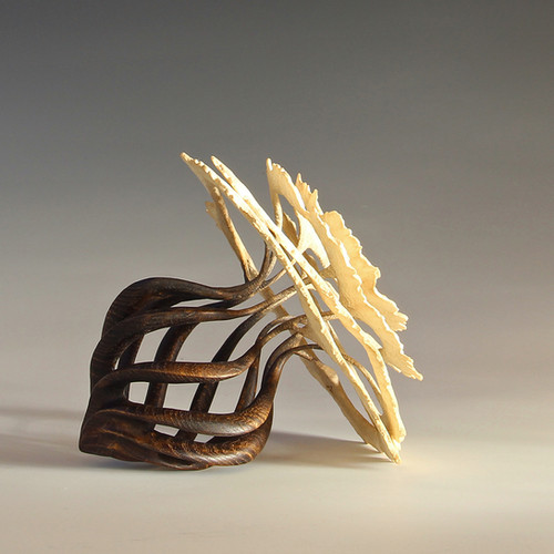 Dark Shell Tree | WOODSYMPHONY GALLERY