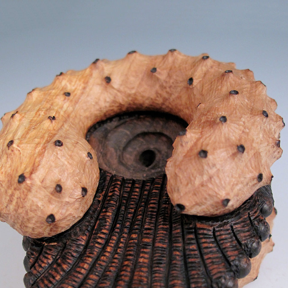Satoshi Fujinuma | Wood Symphony Gallery