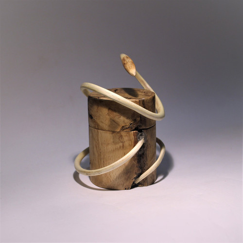 Snake Box | WOODSYMPHONY GALLERY