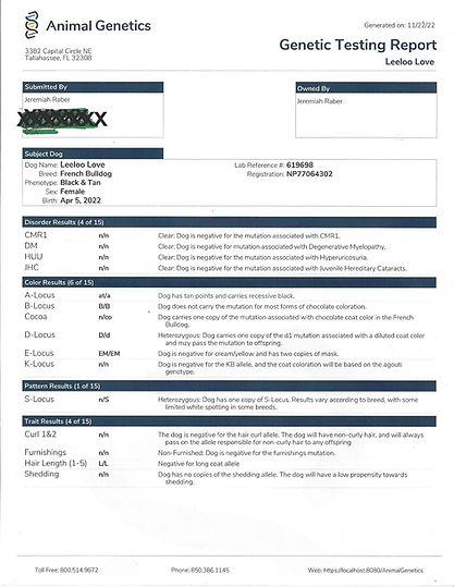 St Louis Frenchie Dams DNA | Stlfrenchies