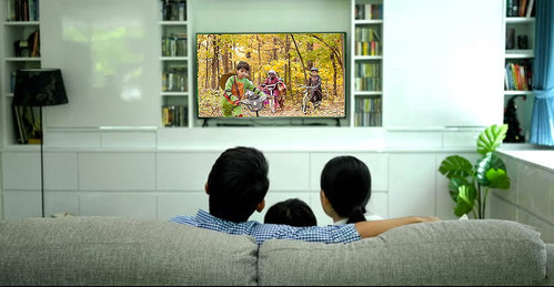 Individuals and Families Buy at Home (DVD) | Diwal'Oween