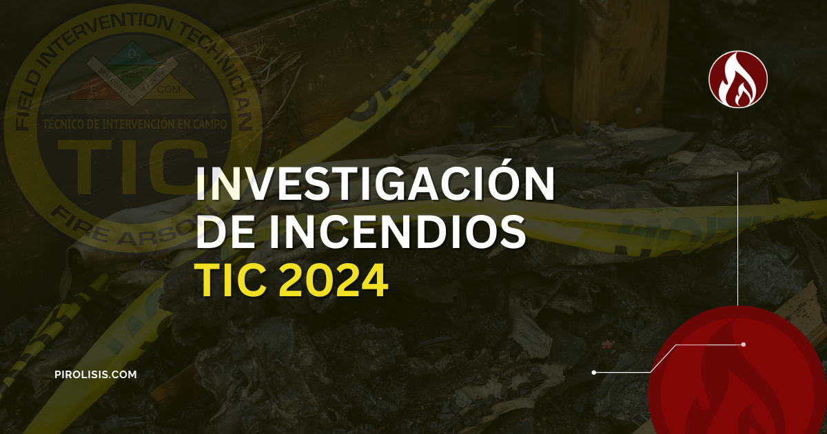 TIC 2024 Sección 1 | pirolisis.com