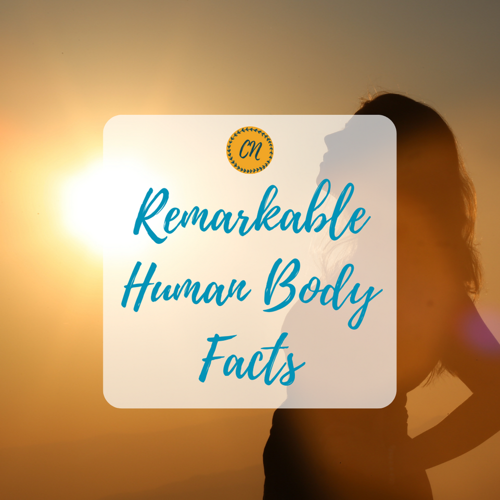 Remarkable Human Body Facts that Inspire Gratitude